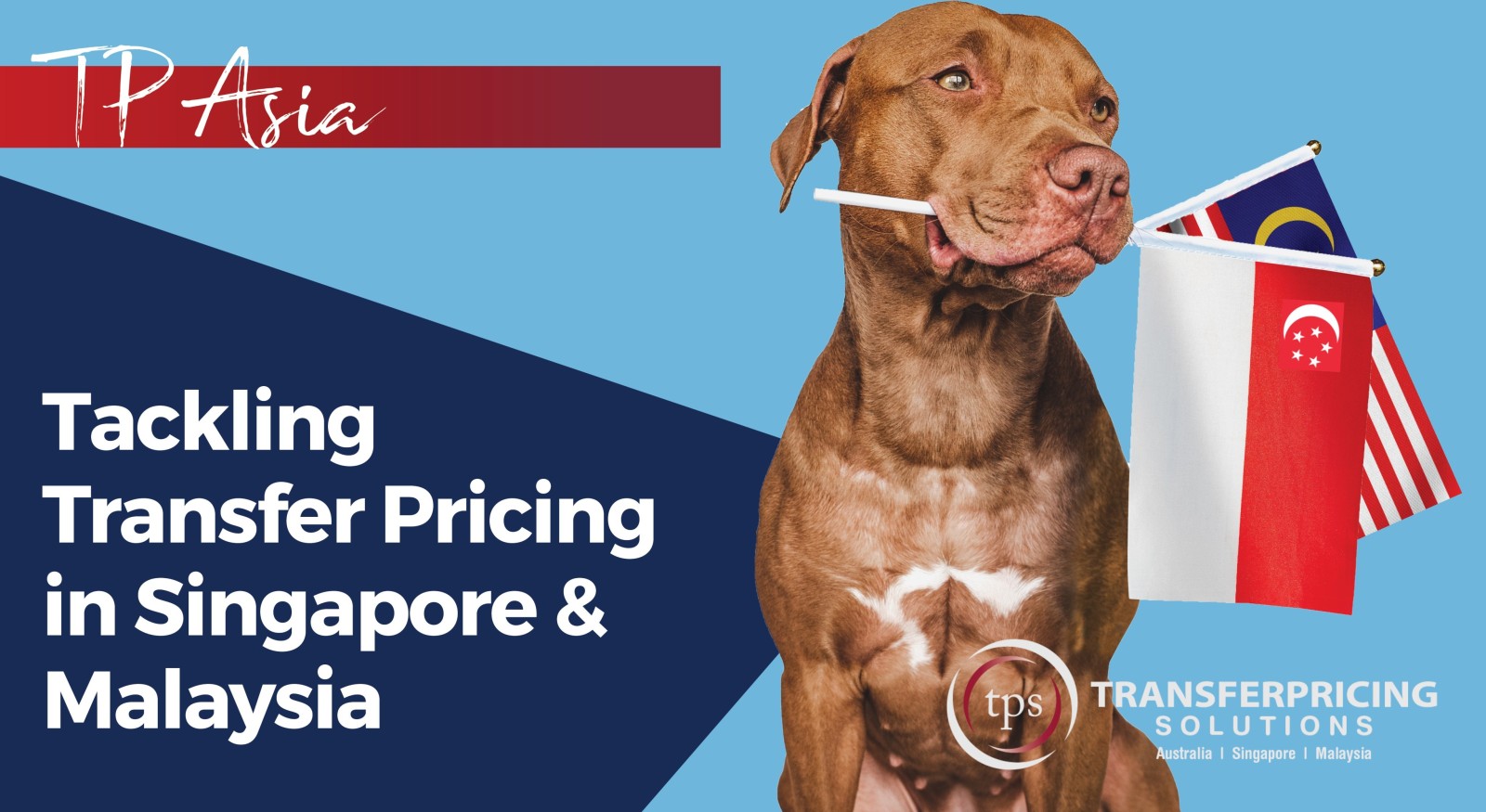 Transfer Pricing Solutions - ASIA - Tackling Transfer Pricing In Malaysia
